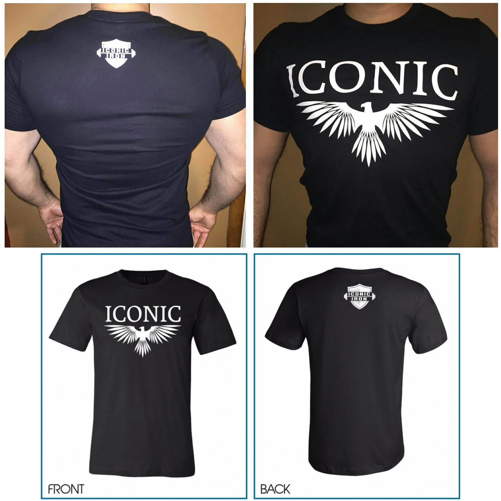 Iconic Iron: New Iconic Iron "King of the Skies" T- Shirt | Merchandise