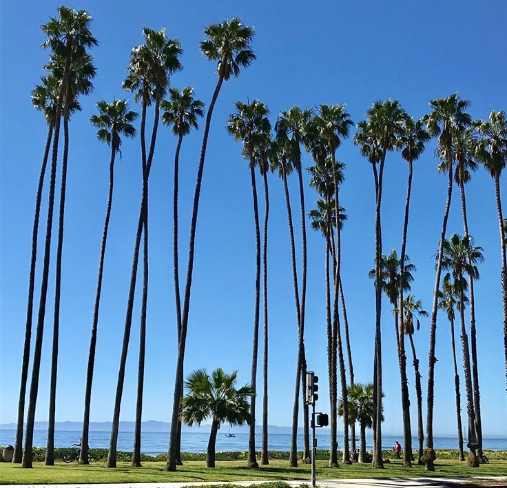 The Larson Lingo: Santa Barbara Spring Break Mission Road Trip