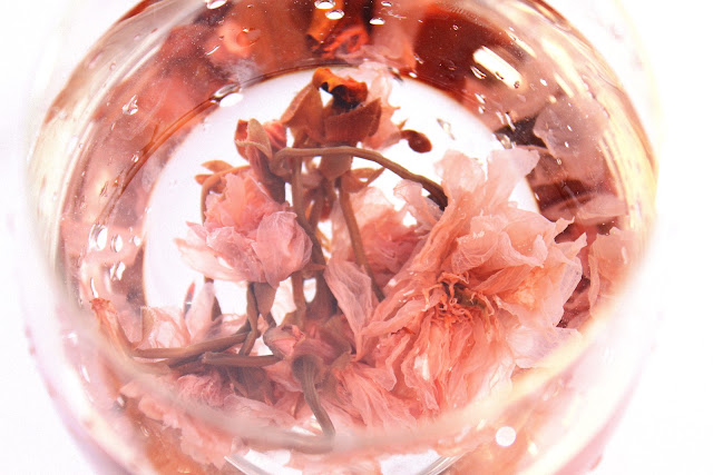 Sakura cherry blossom cheesecake