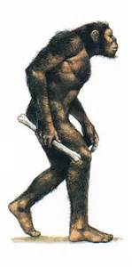 Regarde, je te raconte...: Australopithèque