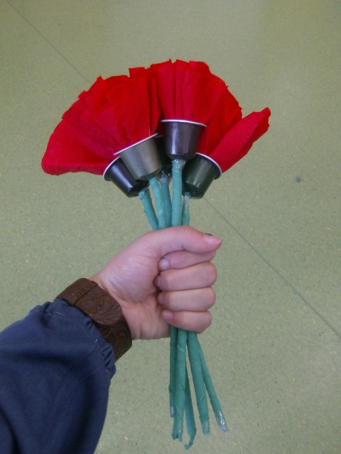 Grilinhos do Campo: Cravos com Papel Crepe