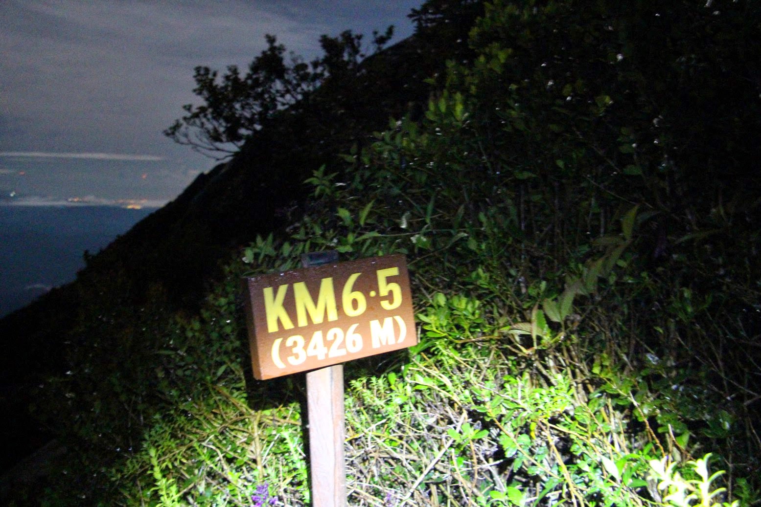 the viewing deck: Kilometer Markers, a Mt. Kinabalu Specials