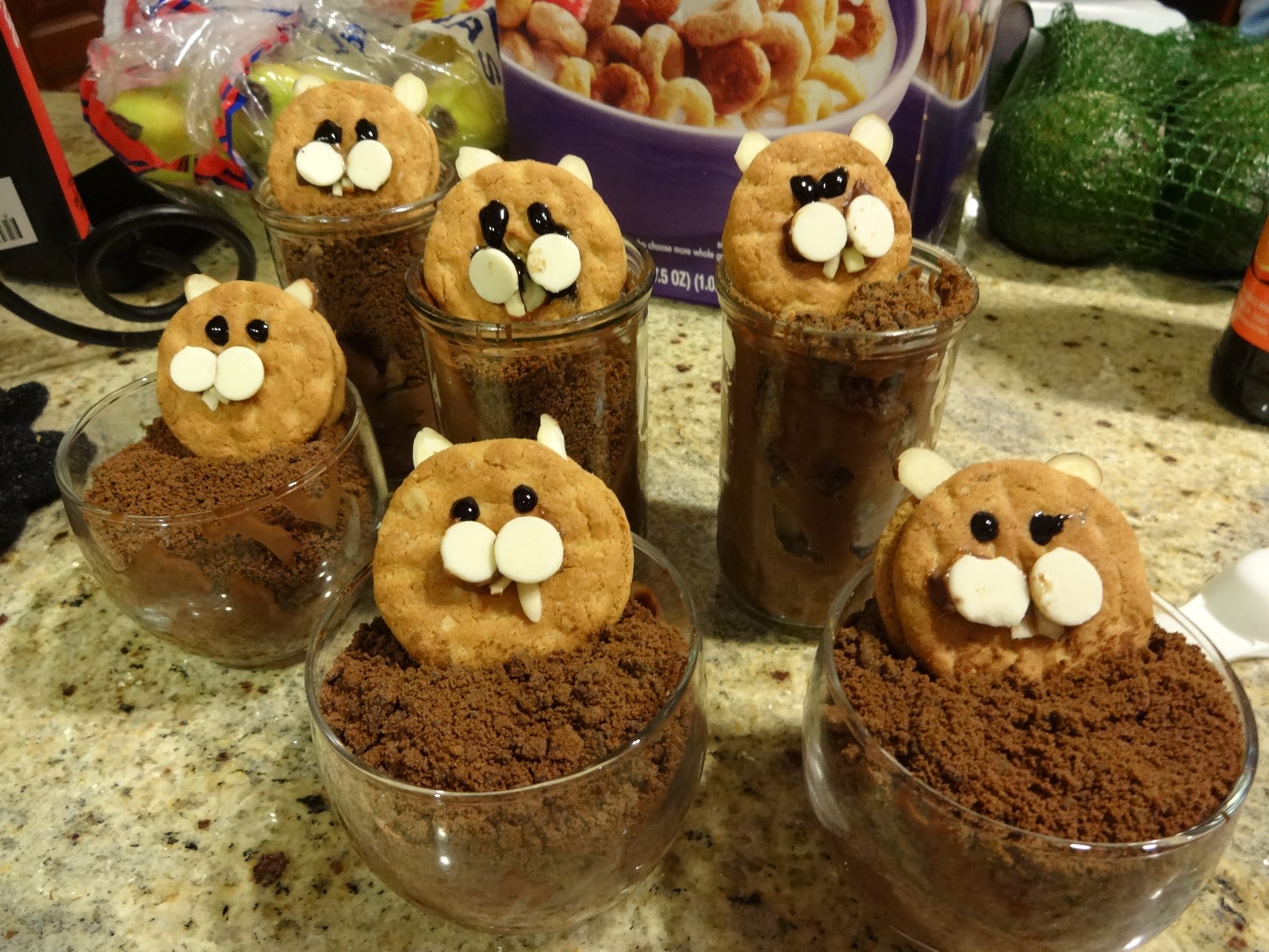 Recovering Working Mom: Operation Groundhog!