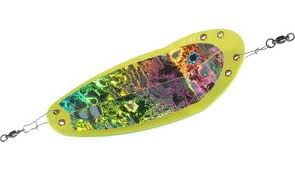 Dillon Beach Fishing