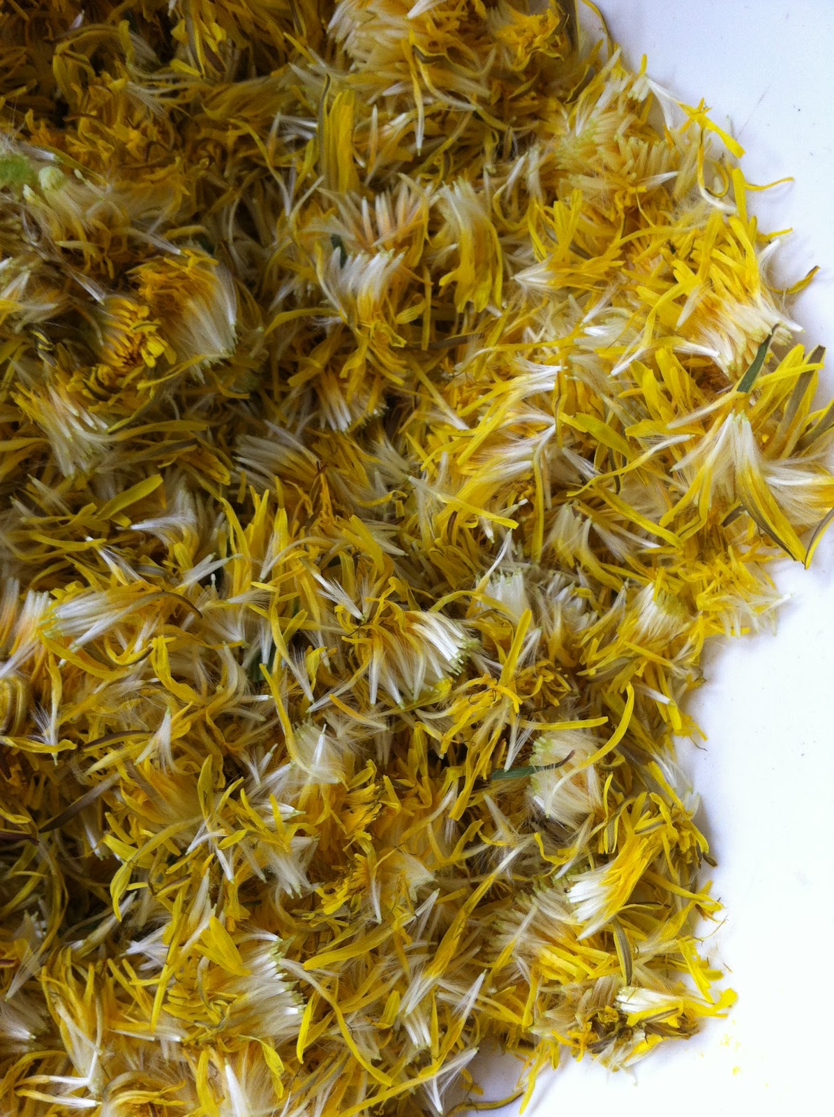 mákostündér: Pitypang