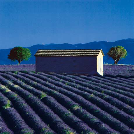 NCFE Photography: Research: Charlie Waite