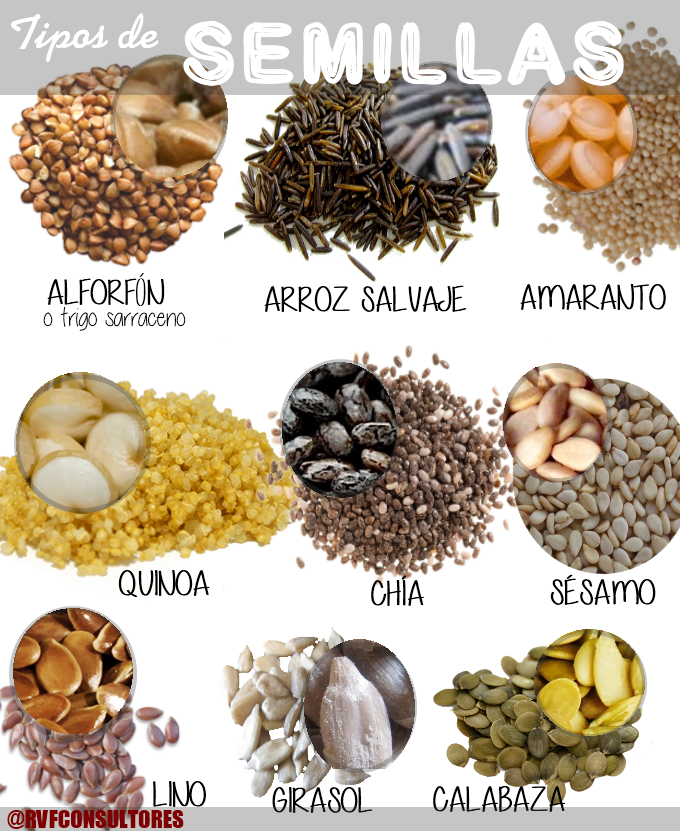 Experimenta La Cocina: Bases para una Buena Alimentación Vegana