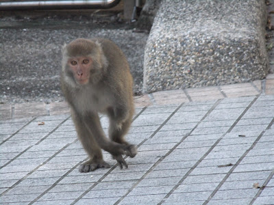 Chiang Kai Shek Mausoleum During Chinese New Year • We Blog The World
