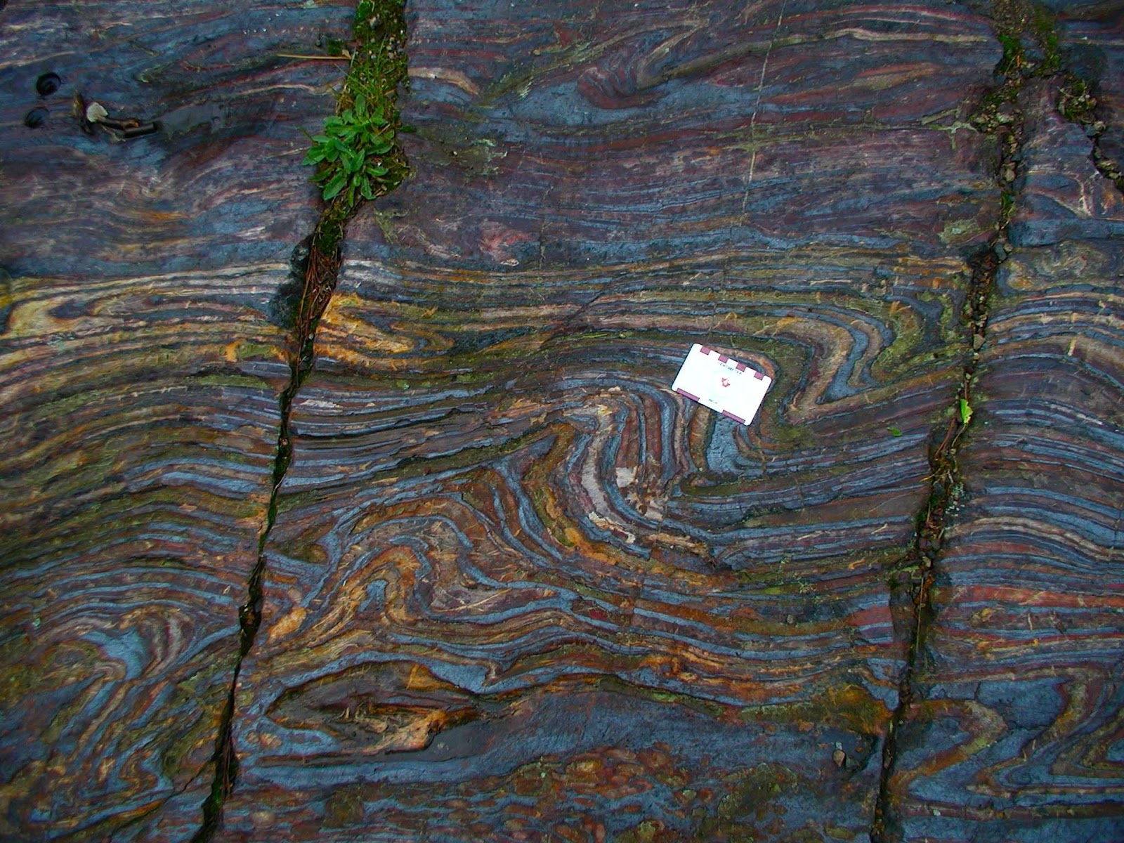 earthscienceguy: Minnesota Geology Monday - Folded Banded Iron Formation