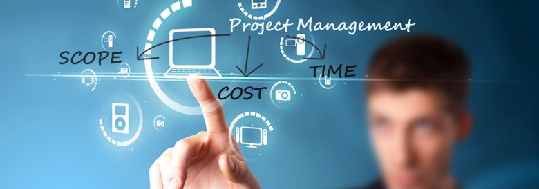 Observations In An Undemocratic World The Principles Of Project Management Observations In An Undemocratic World The Principles Of Project Management