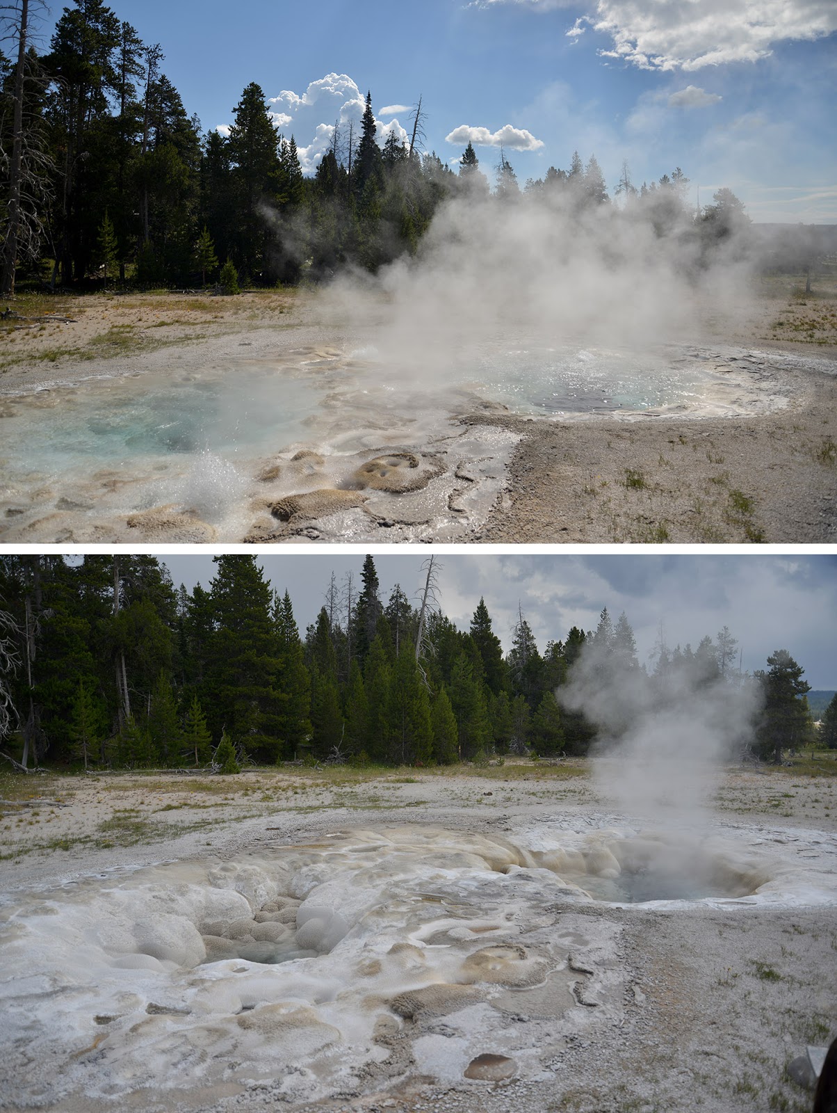 Yellowstone: Upper Geyser Basin - light-in-leaves