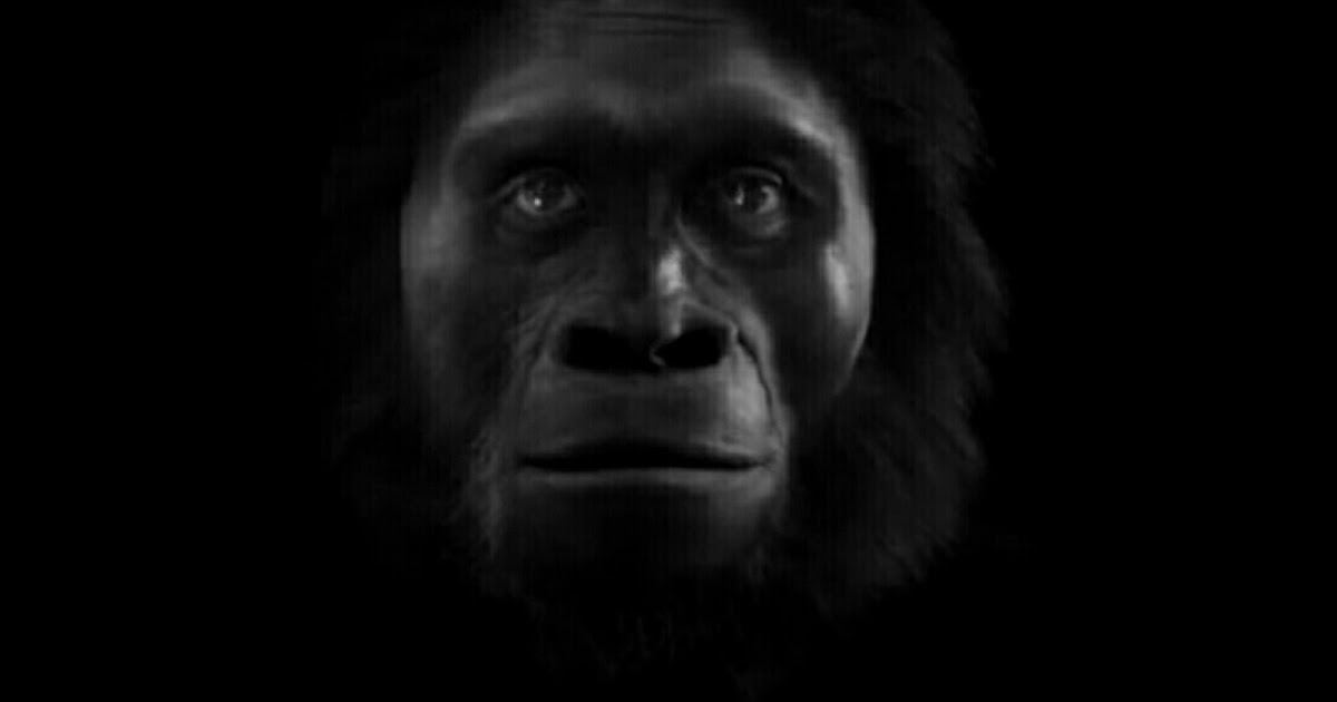 Ciri-Ciri, Pengertian dan Penemu Meganthropus Paleojavanicus - Zona ...