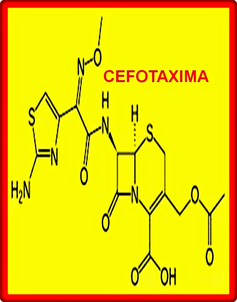 FARMÁCIA BRASILEIRA: ANTI - INFECTANTES - ANTIBIÓTICOS - CEFALOSPORINAS