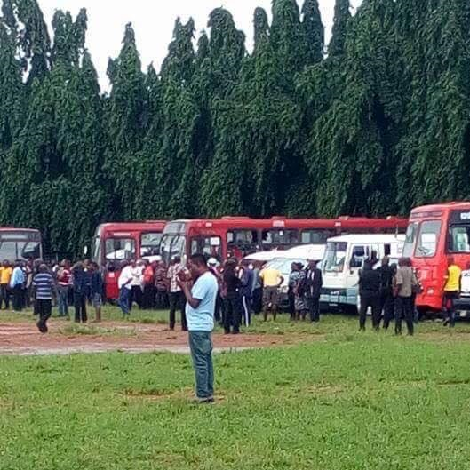 Florence's Blog: Questions arises as BRT buses land Edo State