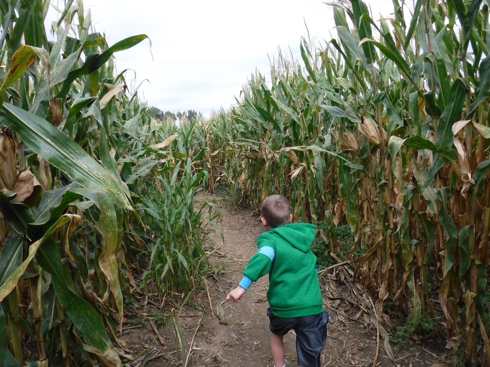 Things to do in Sioux City & Siouxland