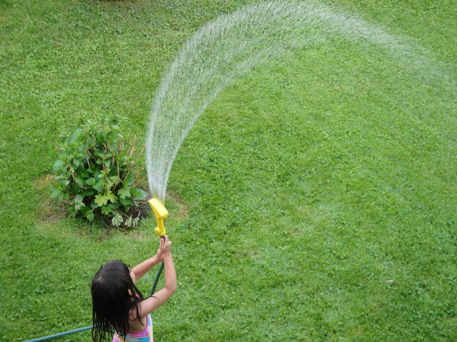 Travels and Wandering: Sprinkler Fun