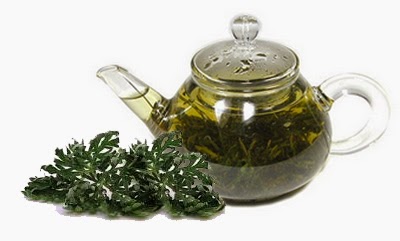 Plantas medicinales: Todo sobre el Ajenjo