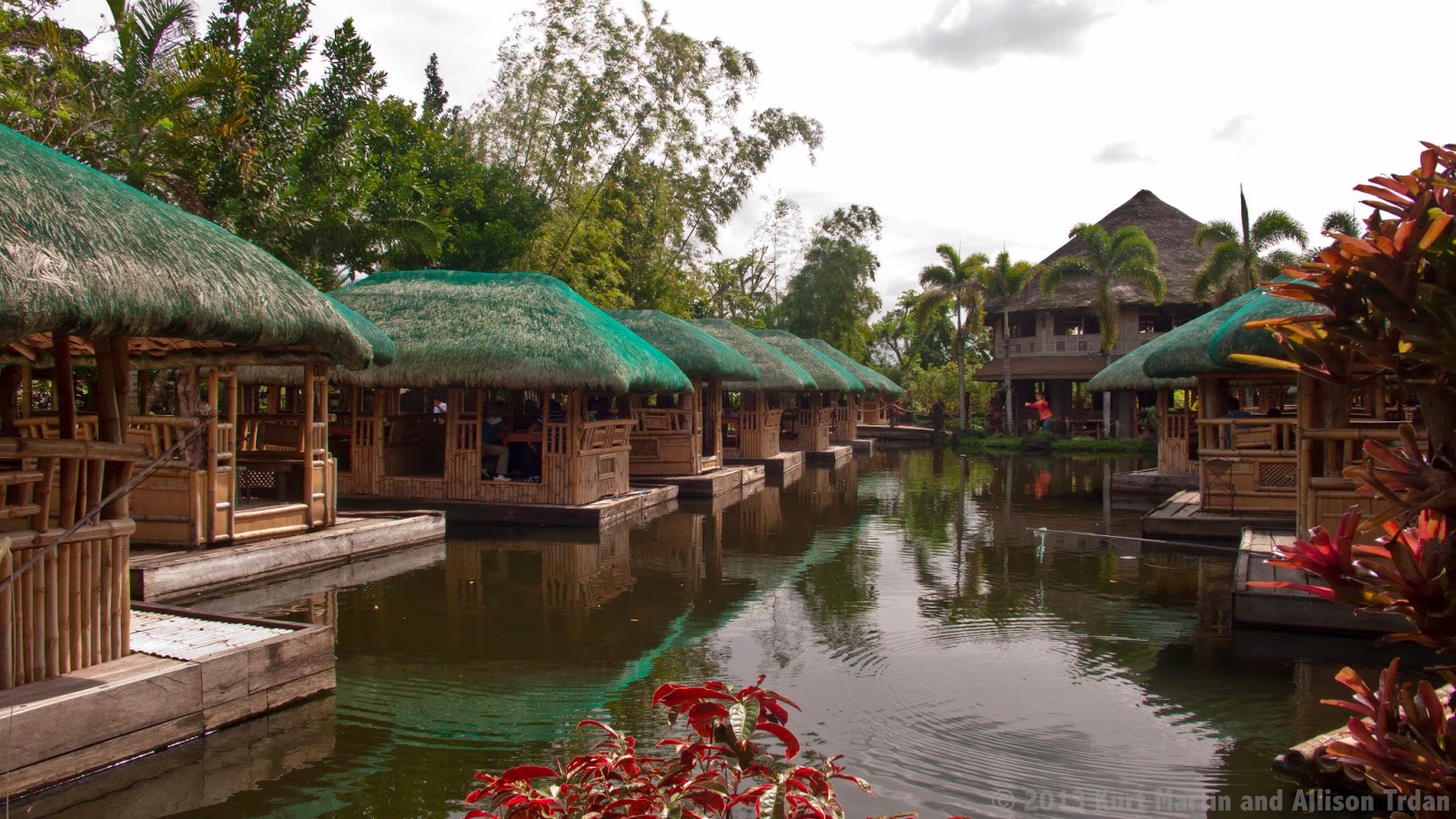 Tree Travels: Paete, Philippines