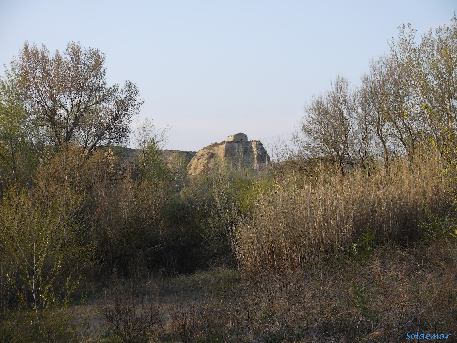 ¡UN POCO DE TODO!: El Galacho de Juslibol