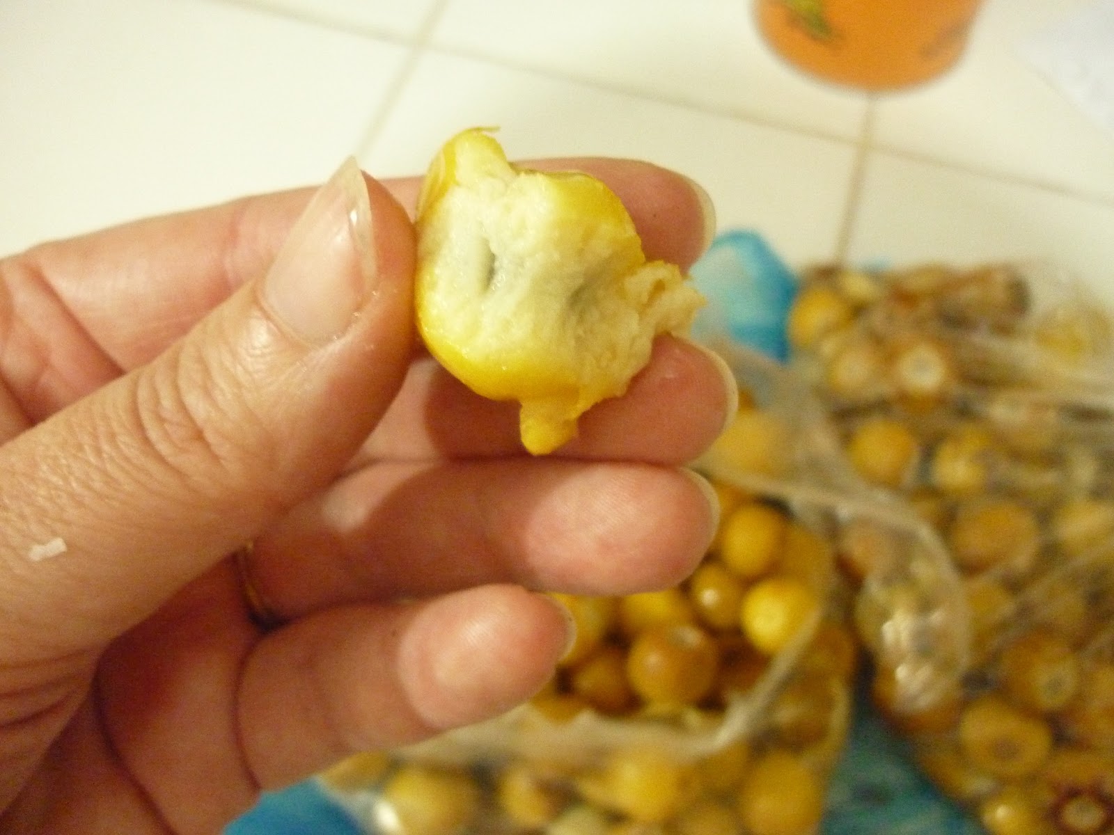 commuNICA: Fruit of the day: Nancites