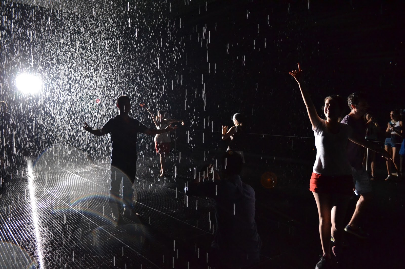 the obsessive imagist | art, design, life: WEEKEND RECAP: MoMA'S RAIN ROOM