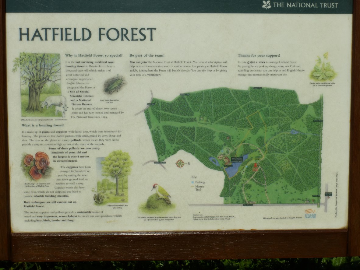 The Road Goes Ever On: Hatfield Forest