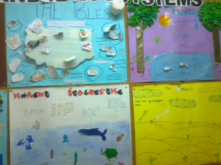 Made in England: Ecosystems Project Work