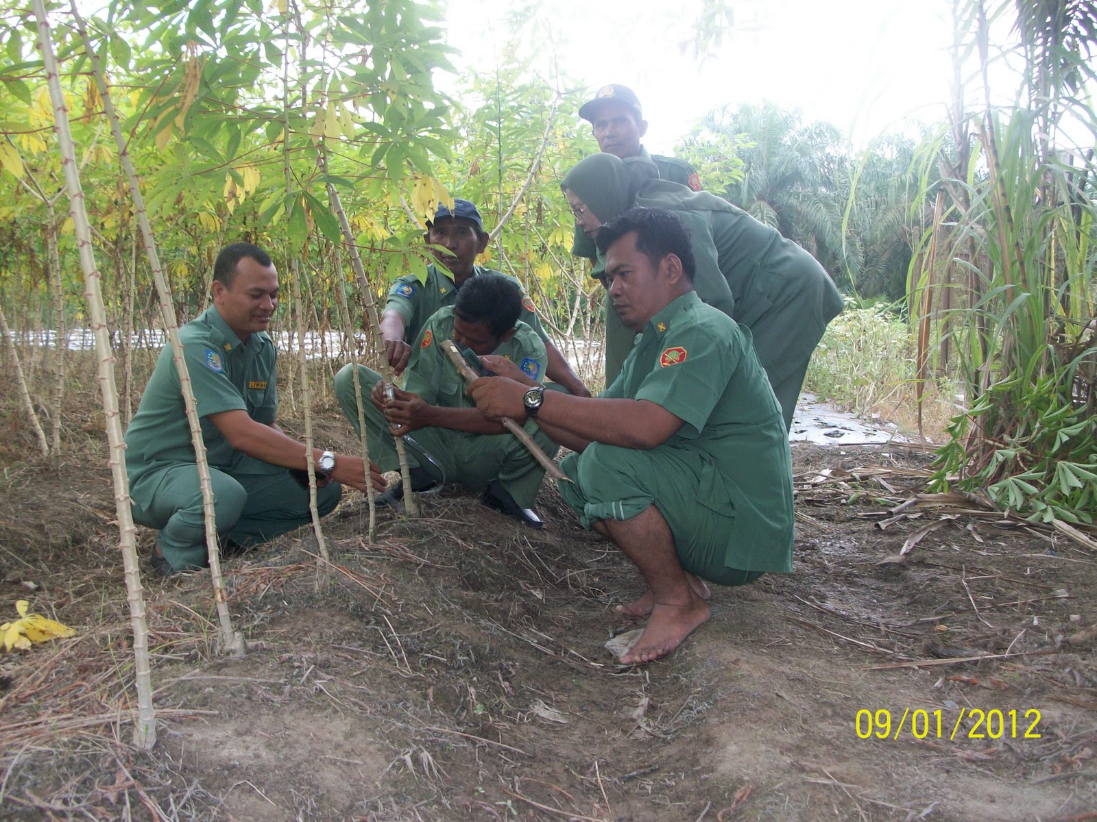 PENYULUH PERTANIAN LAPANGAN (PPL) sihombing_bonar: PELATIHAN PENYULUHAN ...