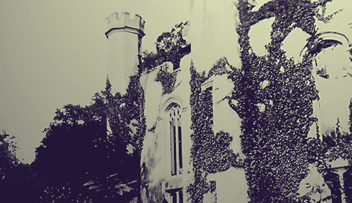 abstract perfection: The Loch Raven Castle - A brief history