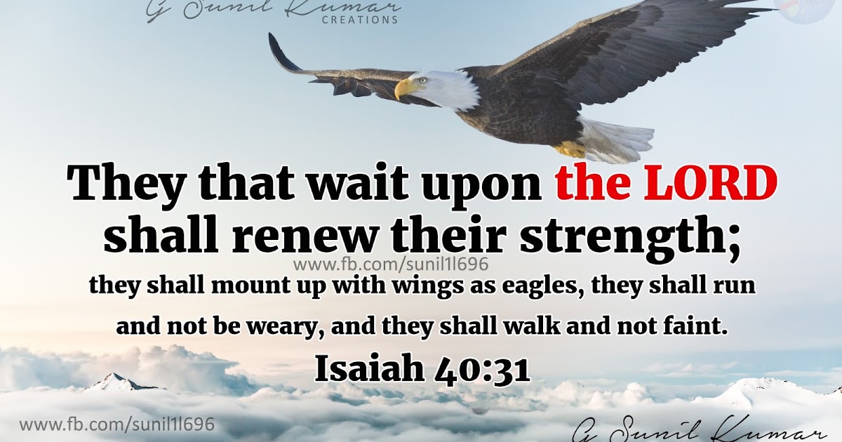 Isaiah 40:31 | G Sunil Kumar