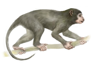 Outras Verdades Inconvenientes