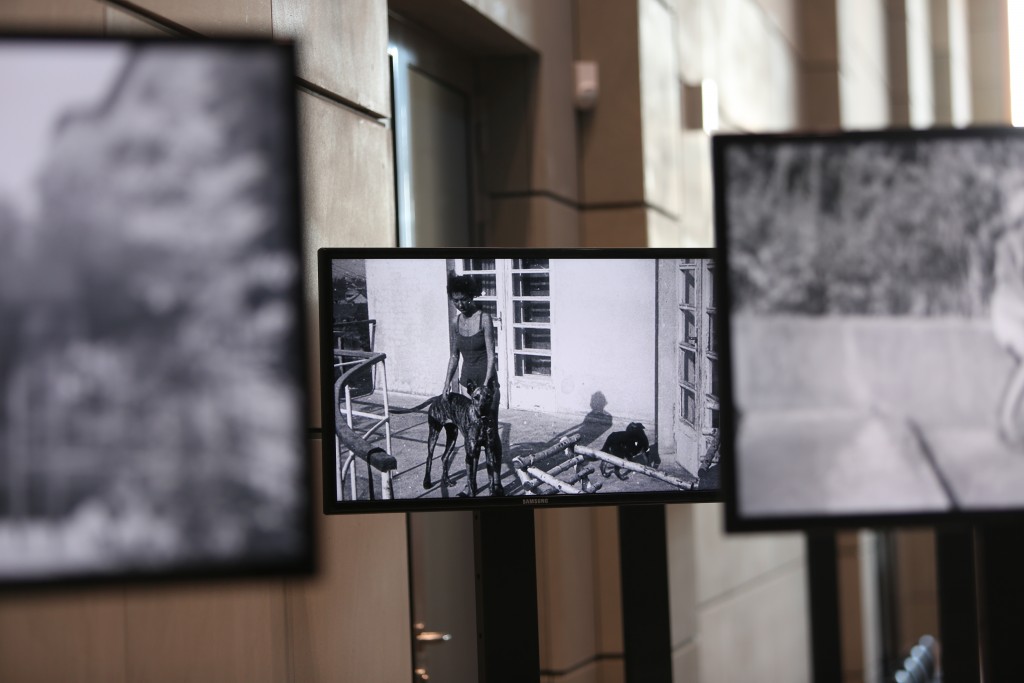 agata kus: exhibitions