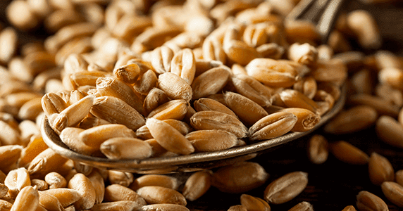 gastronomia: La historia entera del grano entero