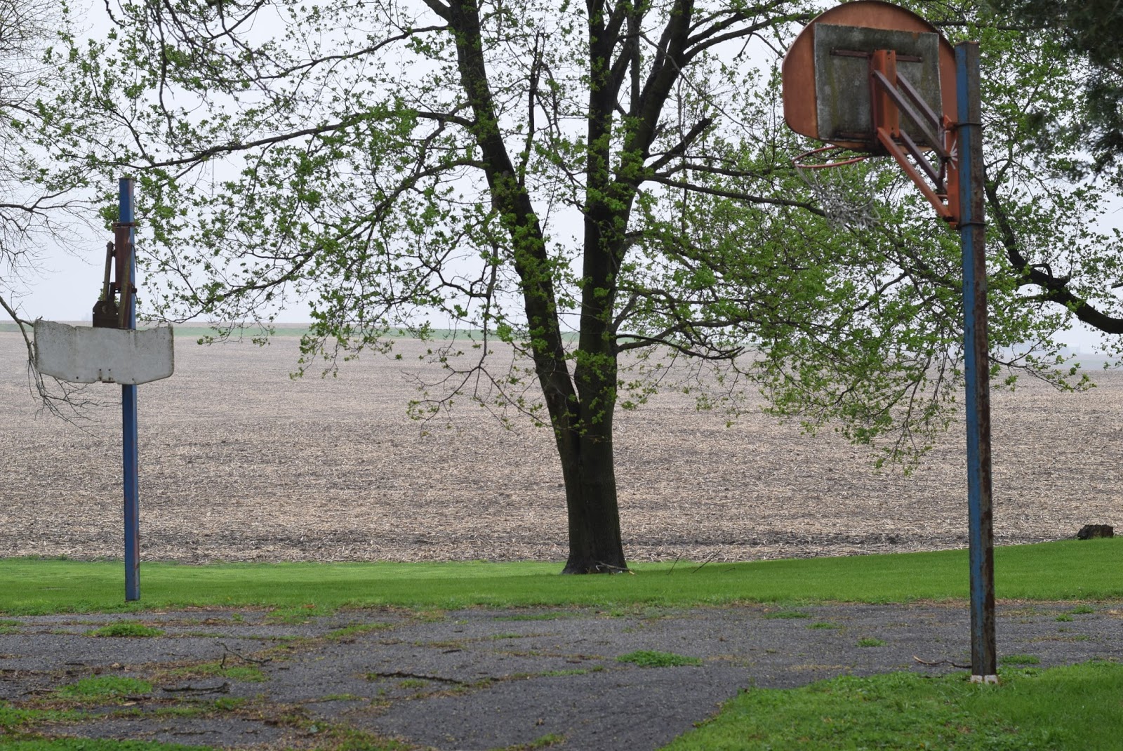 The World's Green Laughter: Gray, Iowa