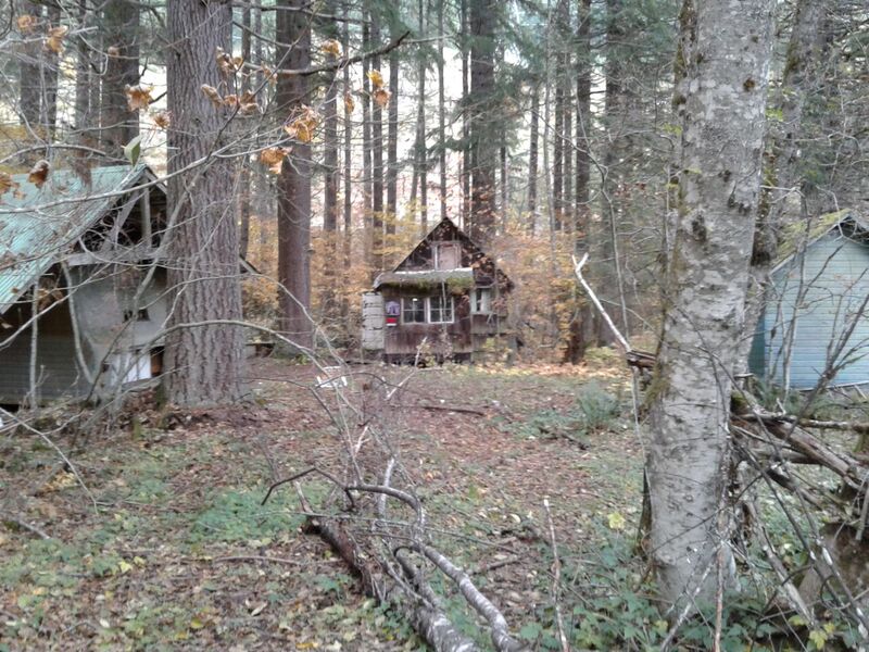 Introvert Escapes the Mitten: Silent Night: The Ghost Town of Lester ...