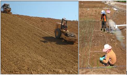 Mari Membaca: Reklamasi dan Pemanfaatan Lahan Pasca Tambang