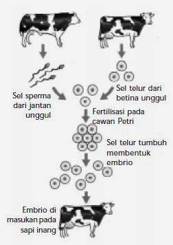 Makalah Bioteknologi