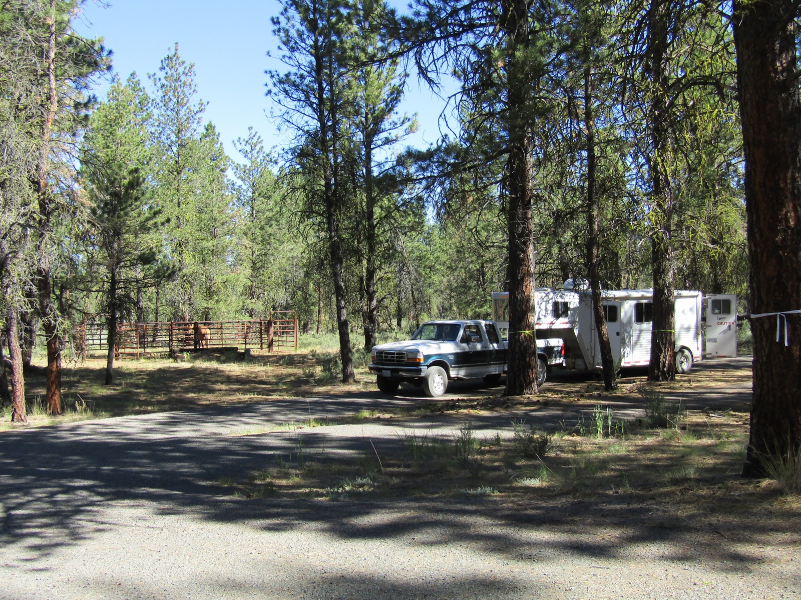 Holly's Horse Tales and Trails: Craft Cabin, Joaquin Miller Horse Camp ...