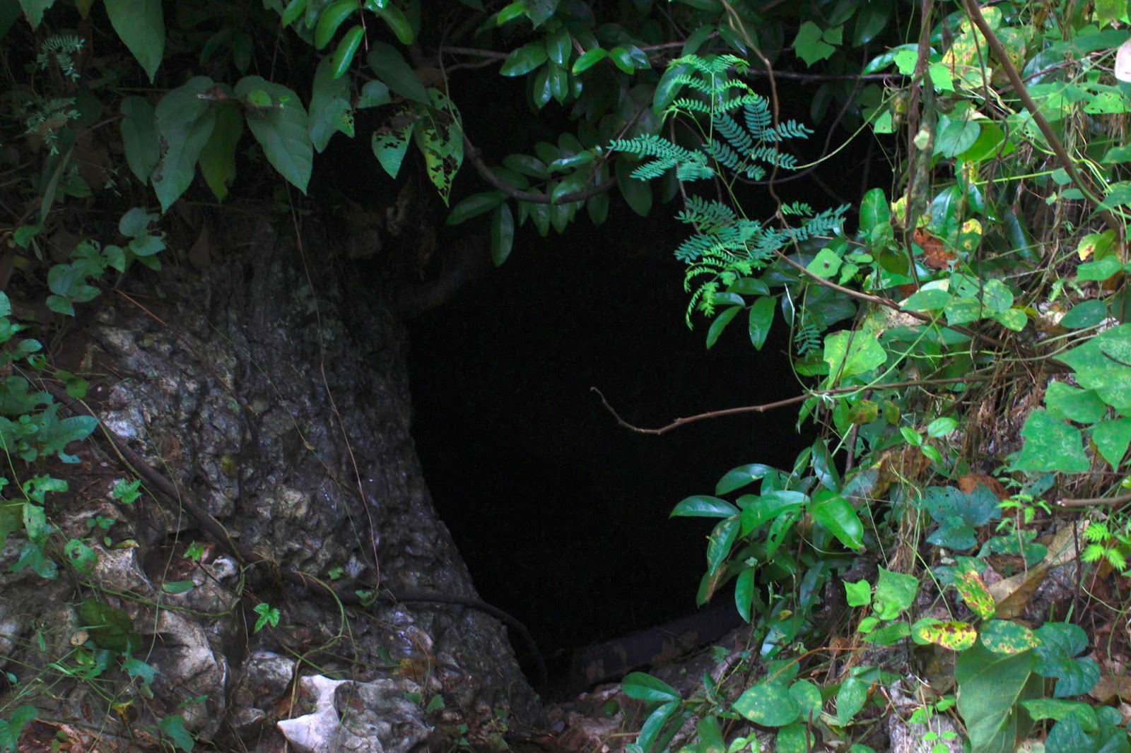 HISTORY REPEATS ITSELF.