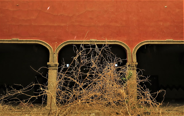 Living Rootless: Mexico: Puerto Palomas, Chihuahua: Revisited