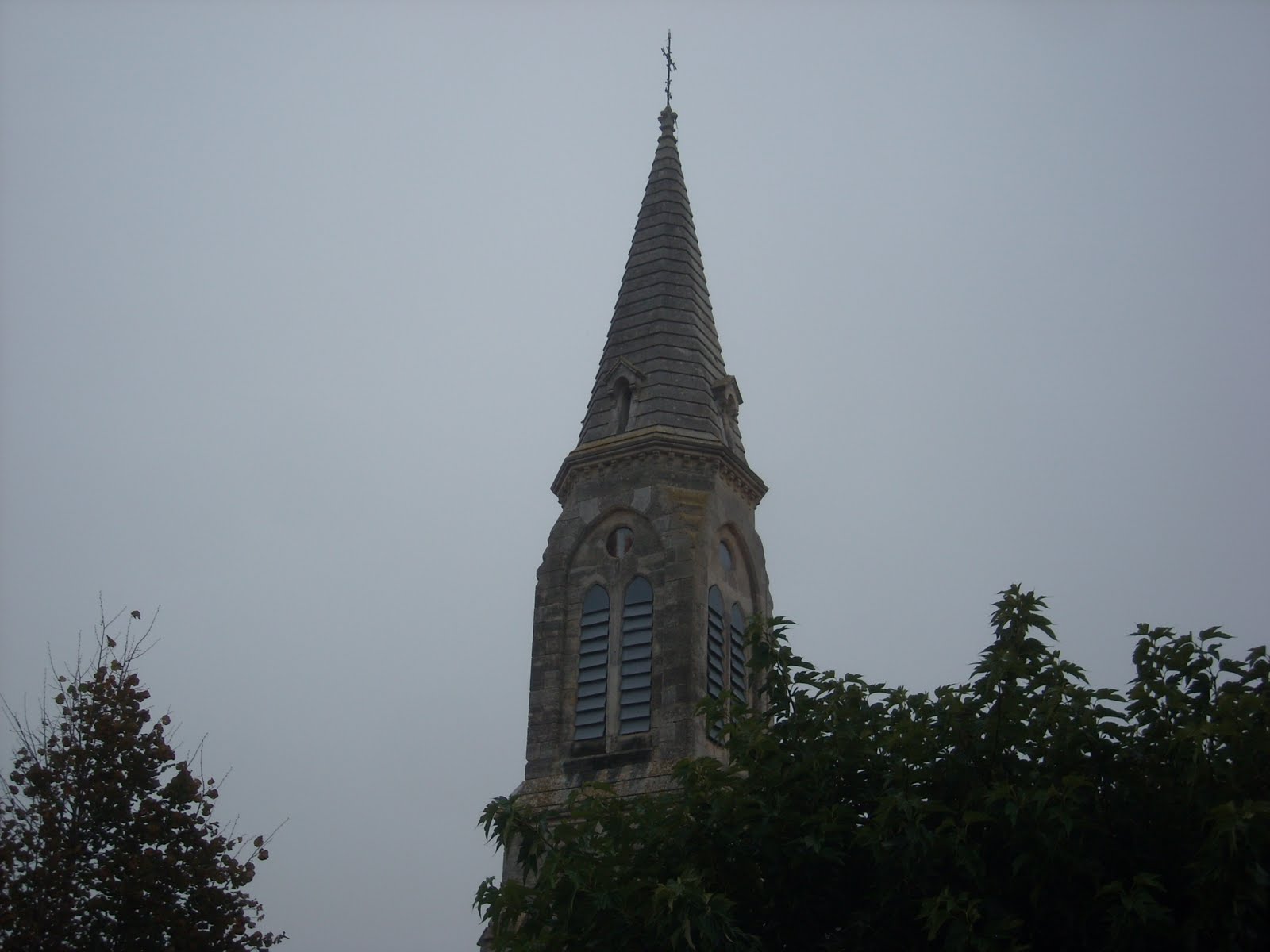 LES MILLE-PATTES DE SAINTONGE: TALMONT-ARCES-BARZAN en Charente-Maritime