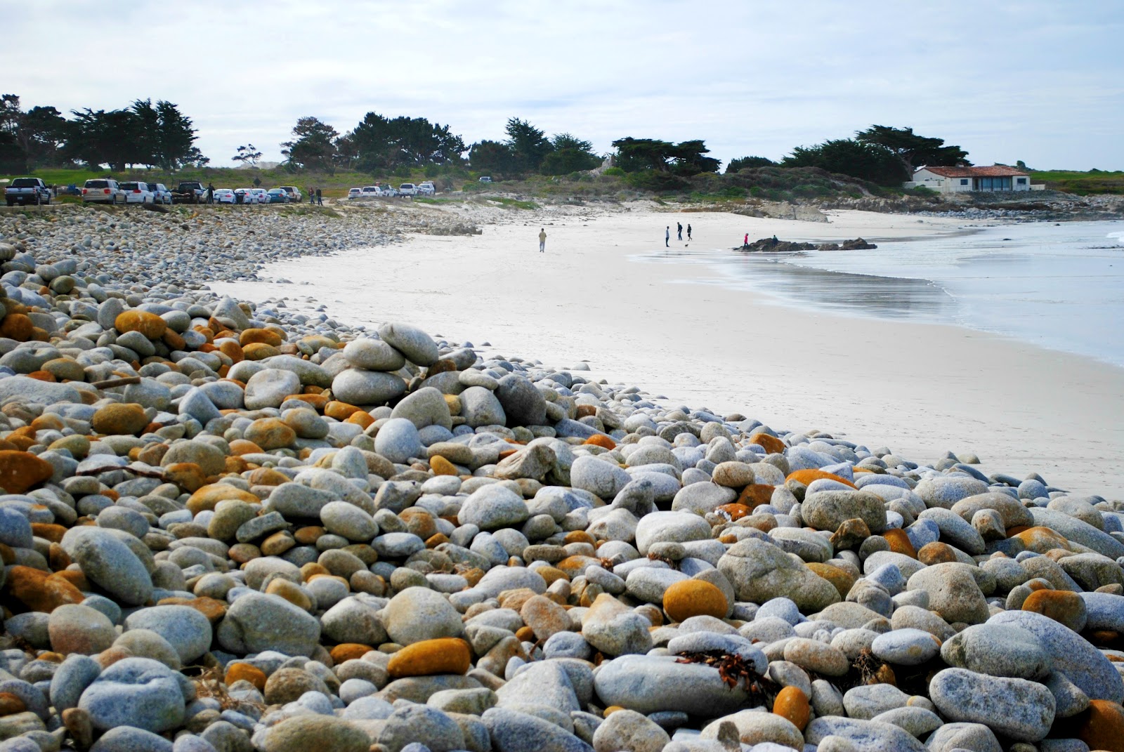 Laffy Cathy: The Pros (and some Cons) of Living in Pebble Beach