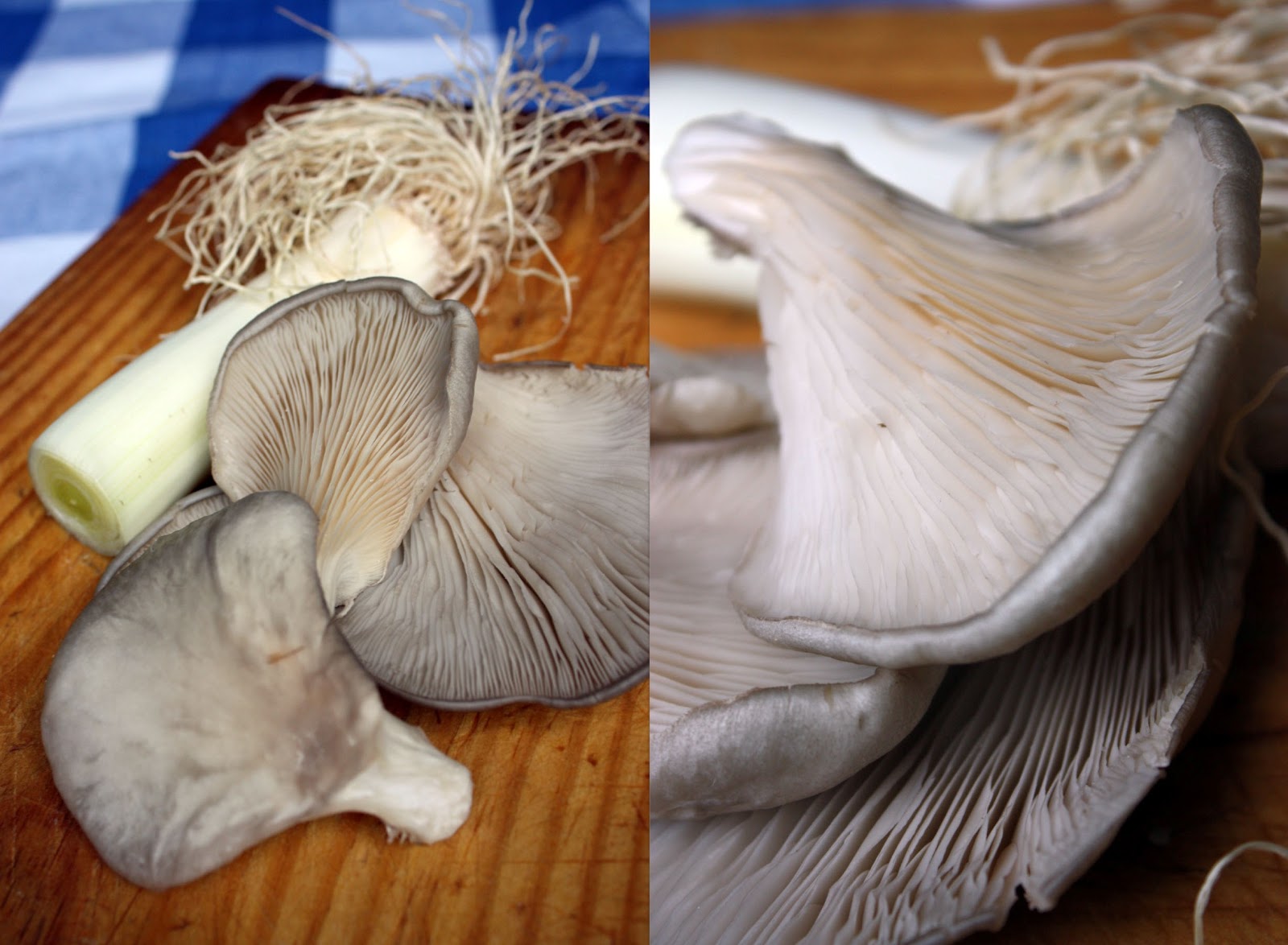 Giuggiola is cooking: 2012