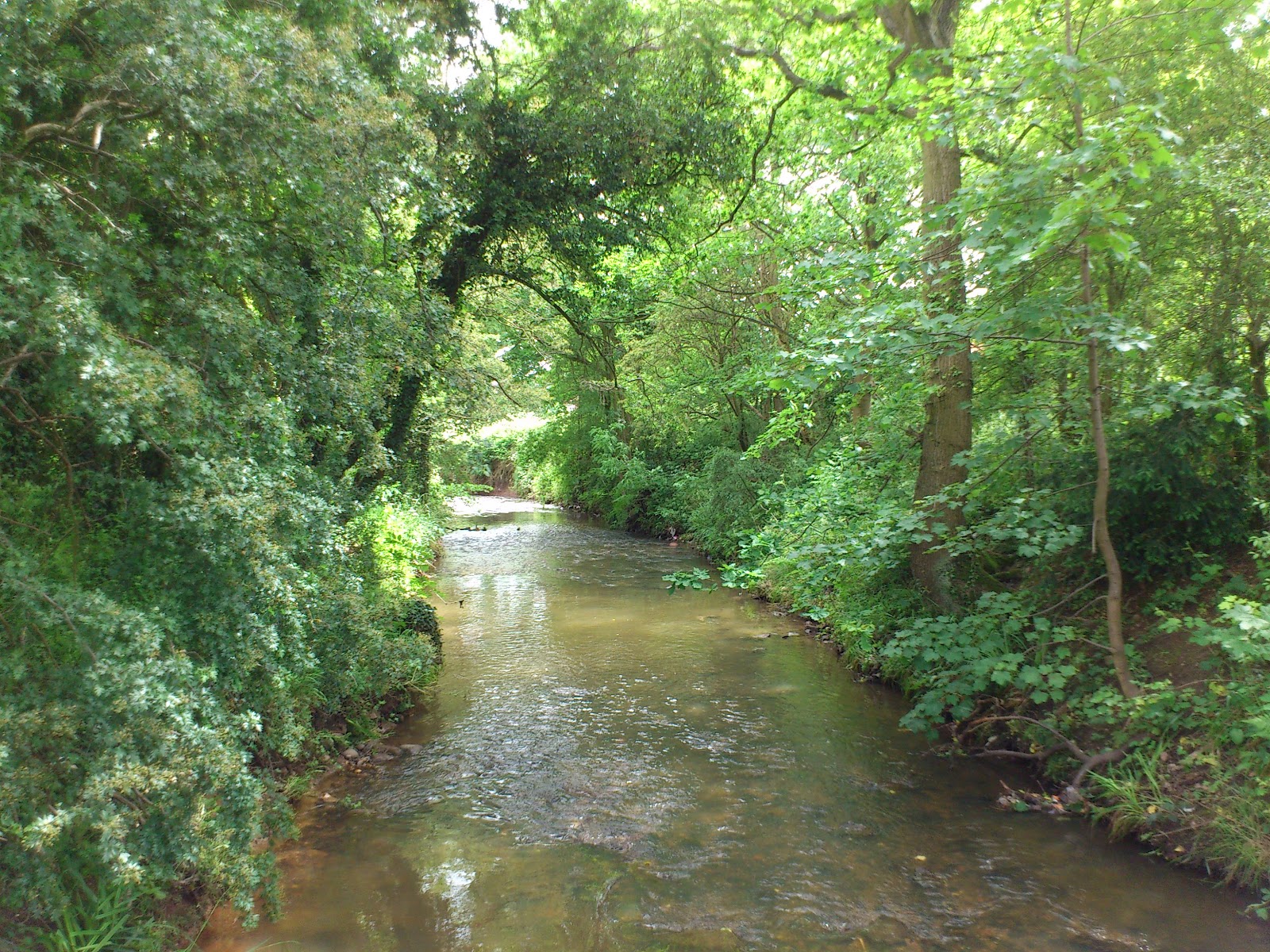 A Brummie's Guide to Birmingham: River Rea; Middlemore Rd - Popes Ln.