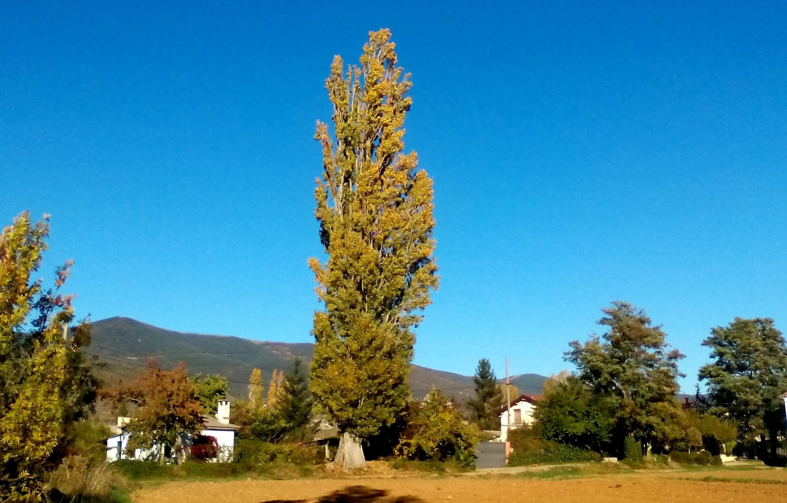 INSTITUTO DE BIOLOGIA & INGENIERIA DE ECOSISTEMAS: BE BIOSPHERICALLY ...