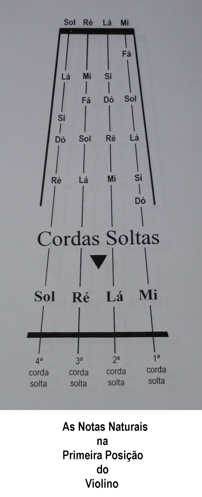 Prof. Raul Sallenave: As Notas no Violino