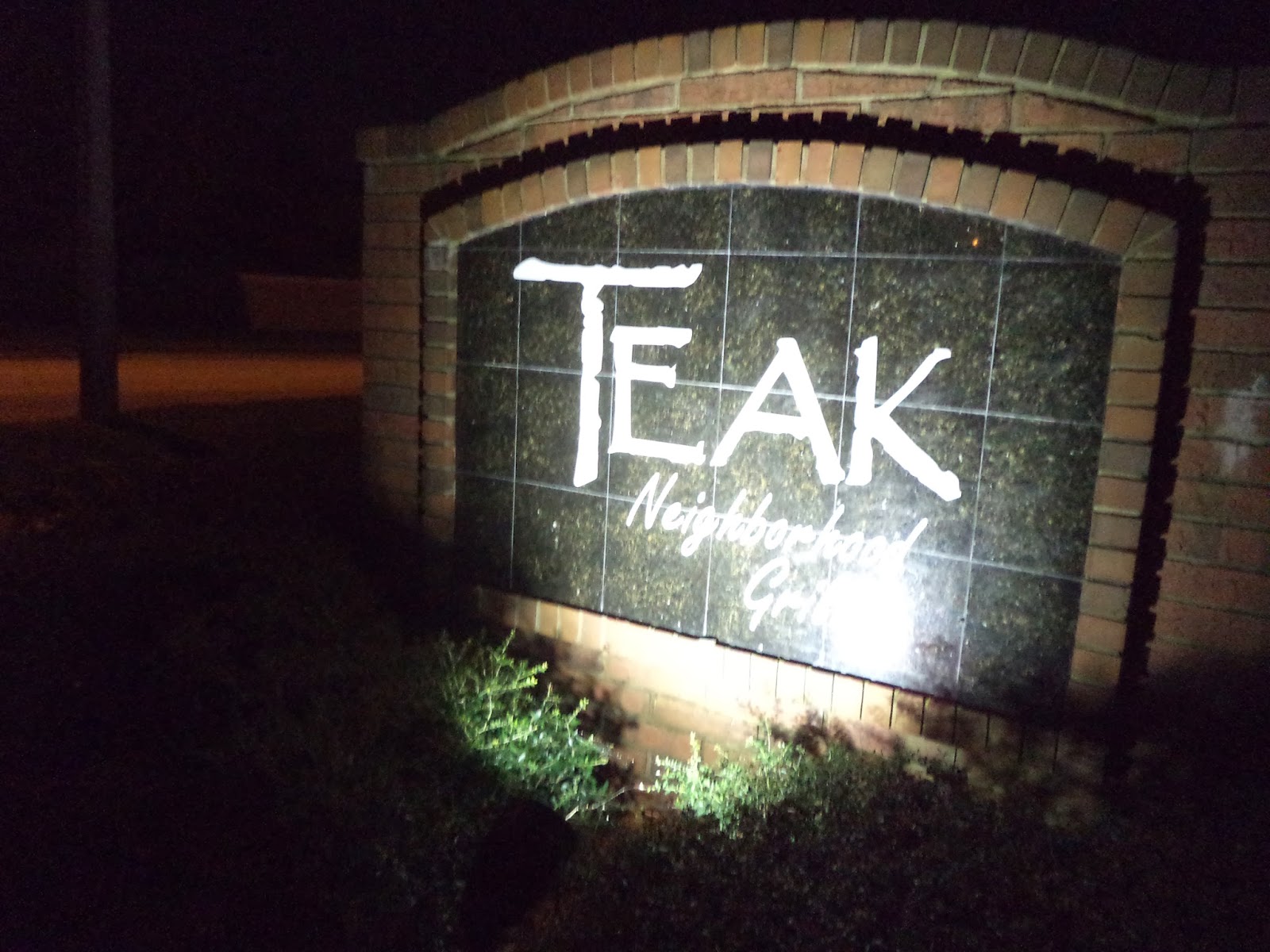 The Florida Dine and Dash: Teak Neighborhood Grill: Hidden Delicacy in ...