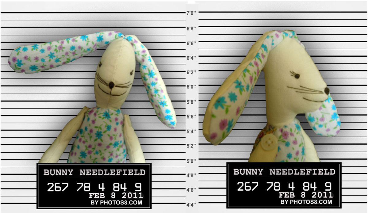 Needle Field: Bunny Plush Doll