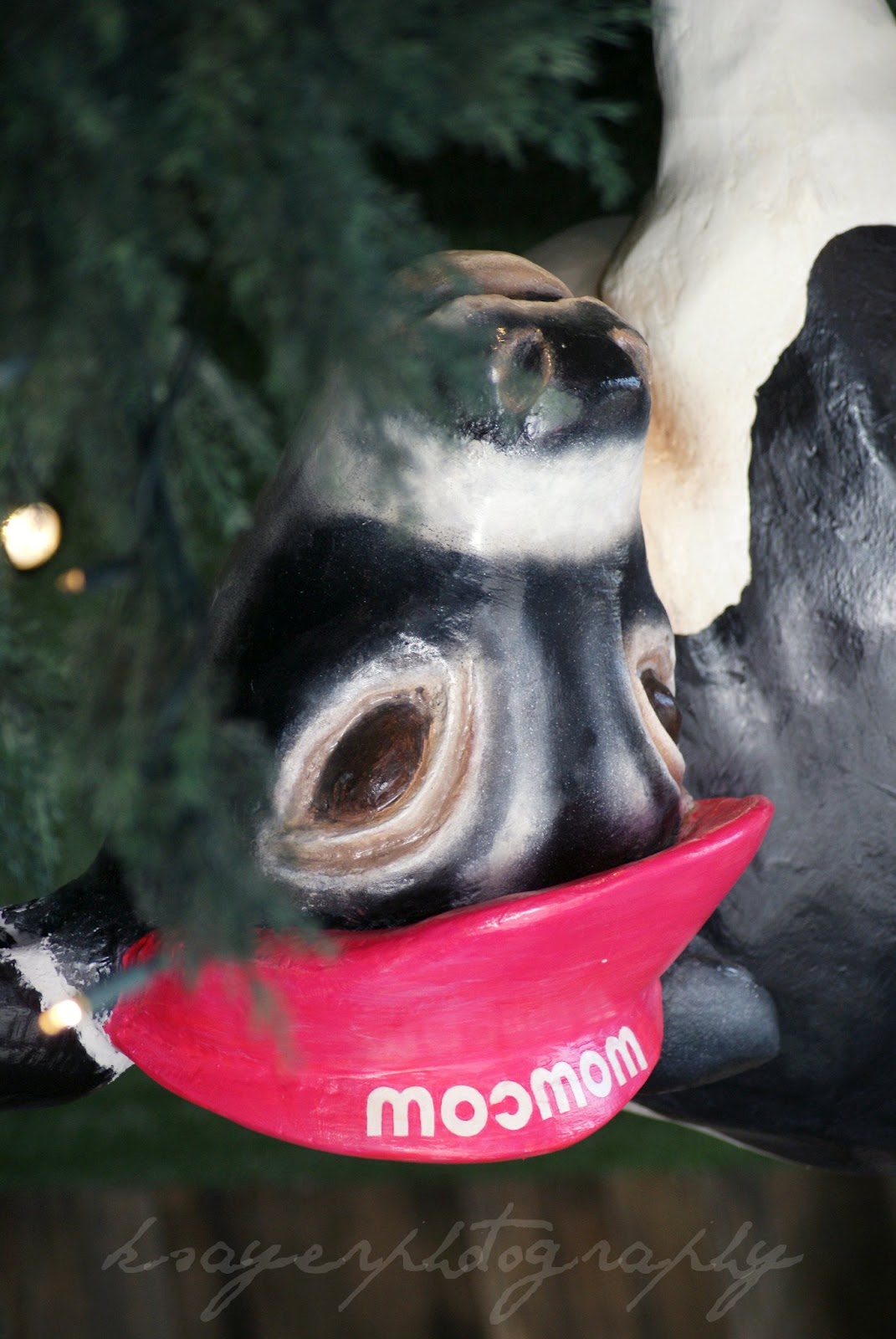 Southern In Law: Saturday Spotlight: Wowcow Frozen Yogurt, Newtown Sydney