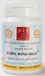 Maciocia Online: THE TREATMENT OF INFLUENZA WITH CHINESE MEDICINE